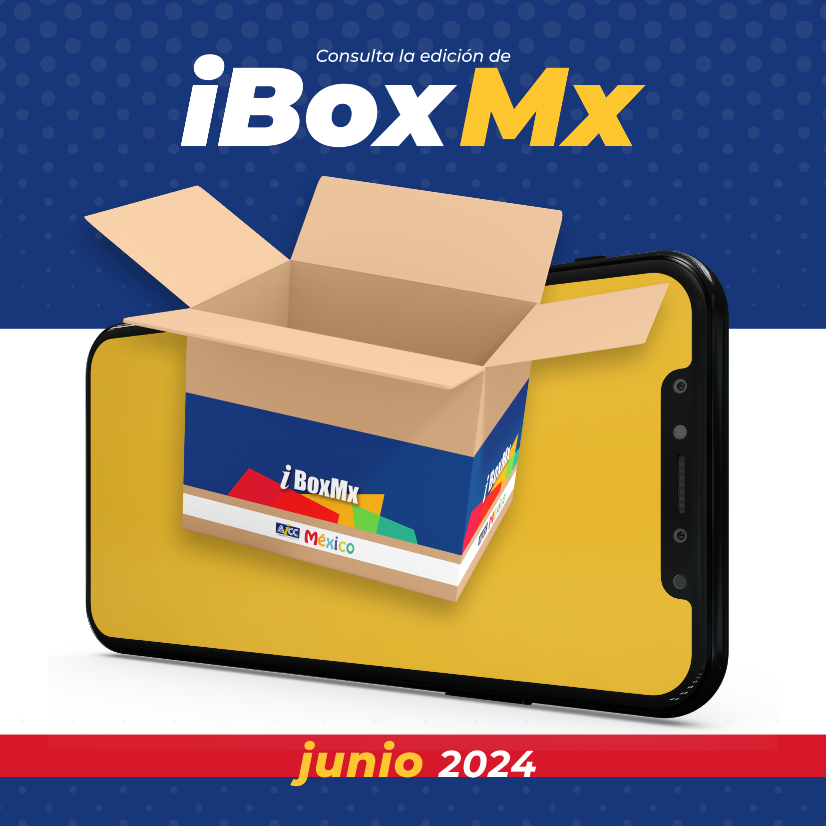 iBox Junio 2024 – AICC México