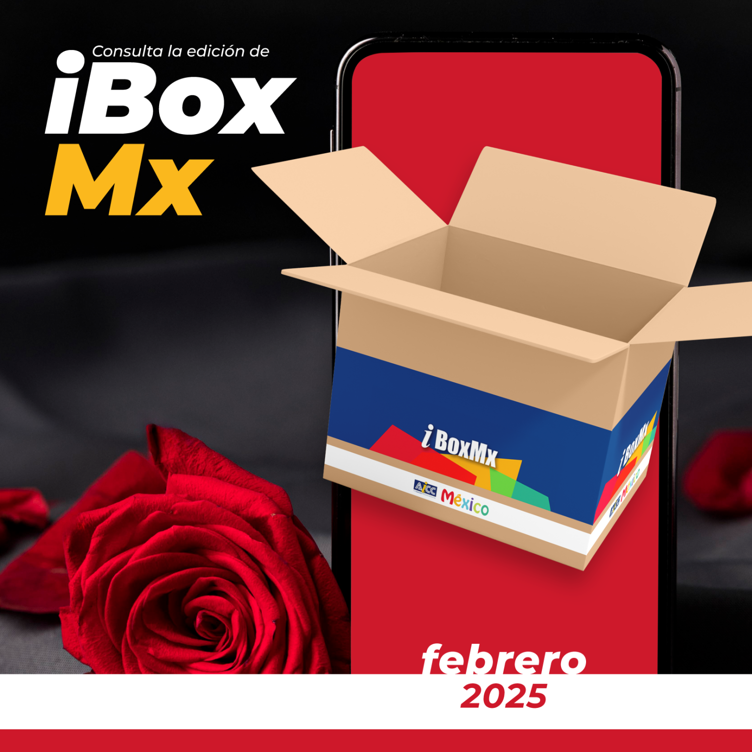 iBox Febrero 2025 – AICC México